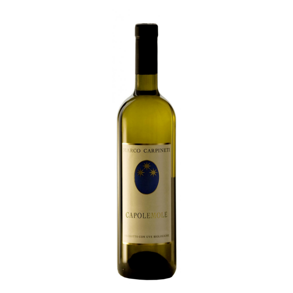 Marco Carpineti | DolceVita Wine Club | Italian wine shop
